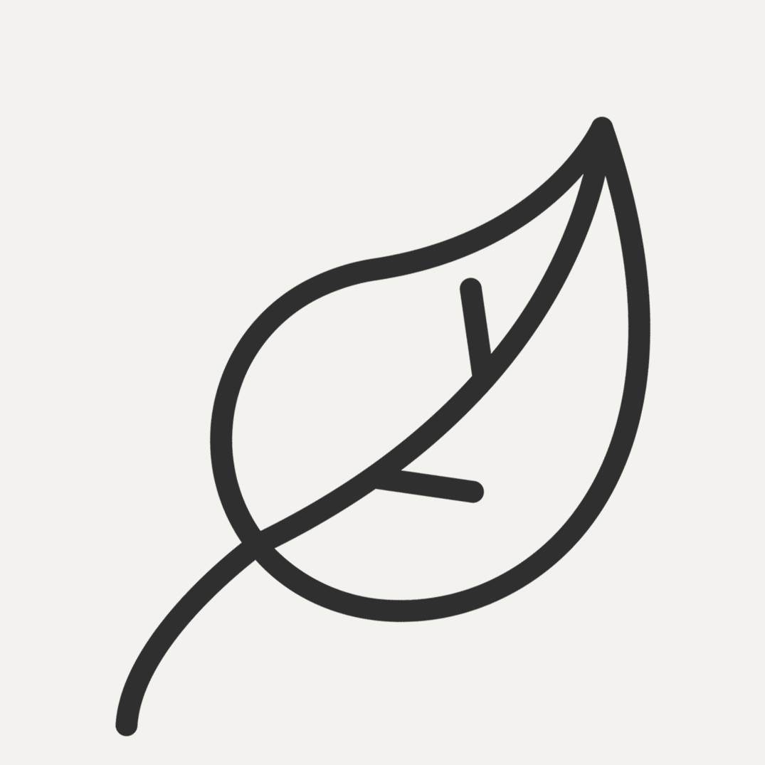 SARE Studio | Comfortable Homewear Underwear & Gift